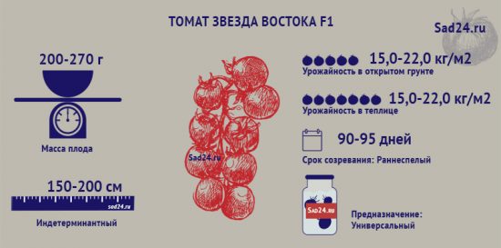 Томат Звезда востока F1: описание сорта, отзывы, фото