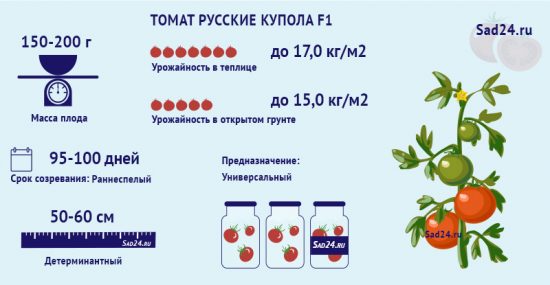 Томат Русские купола F1: описание сорта, отзывы, фото